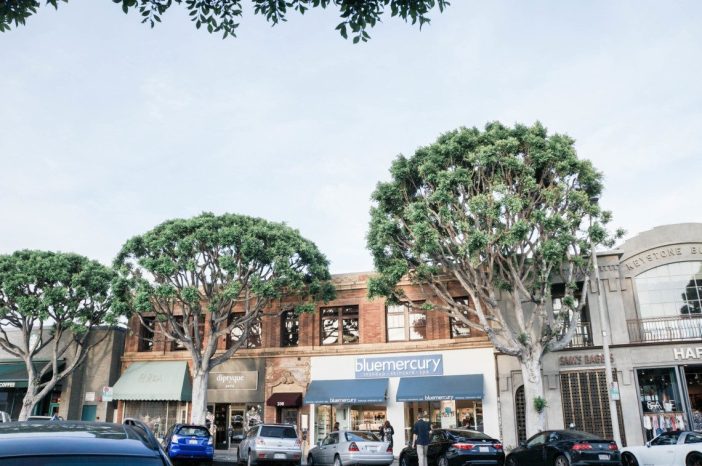 A Guide to Larchmont Village a Neighborhood Gem in Los Angeles
